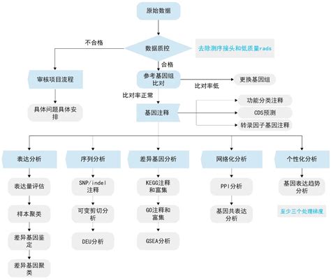 易基因单细胞转录组测序（smart Seq2）｜技术推介 哔哩哔哩