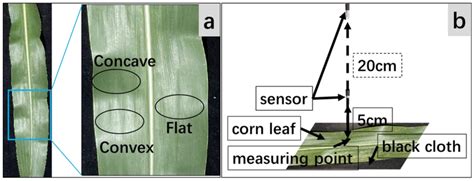Overall Accuracies Of Random Forest Classification Based On Single Pri