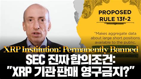 Sec 진짜 합의조건 Xrp 기관 판매 영구 금지 Youtube