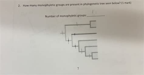 Solved 2 How Many Monophyletic Groups Are Present In