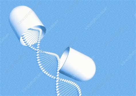 Pill And Dna Illustration Stock Image F043 0666 Science Photo