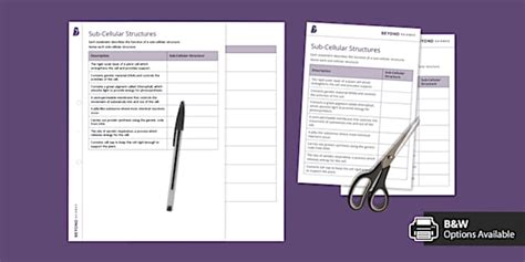 New Sub Cellular Structures Worksheet Ks3 Biology Beyond