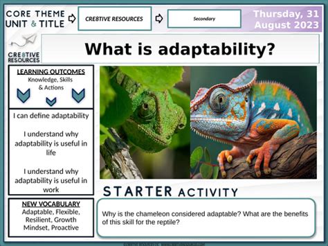 What Is Adaptability Teaching Resources