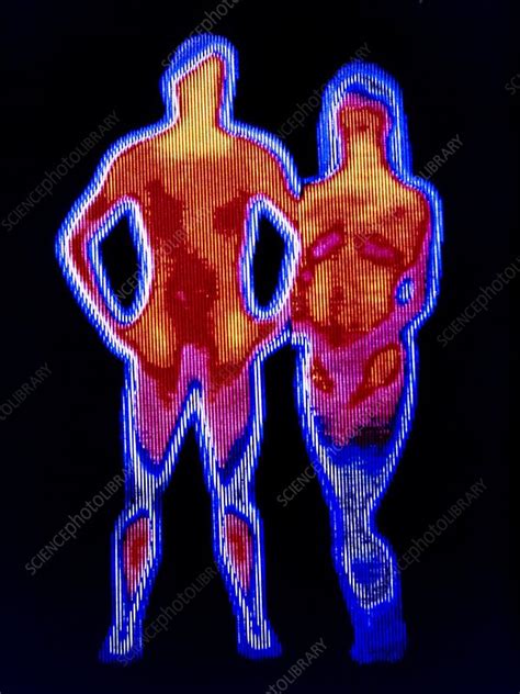 Couple Thermogram Stock Image F0102586 Science Photo Library