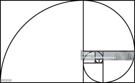 황금 비율 기하학적 개념 피보나치 나선 형상 템플릿 구성 나선형 안내선 그래픽 디자이너 수학 수학 예술 벡터 일러스트 레이 션입니다 황금비에 대한 스톡 벡터 아트 및 기타
