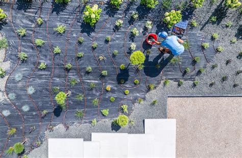 Premium Photo Gardener Planting Greenery And Installing Drip Irrigation System