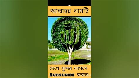 আল্লাহর নামটি দেখে সুন্দর লাগলো অবশ্যই লাইক কমেন্ট শেয়ার করুন