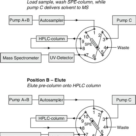 Experimental Setup For On Line Spe Hplc Msms Analysis Of Urinary