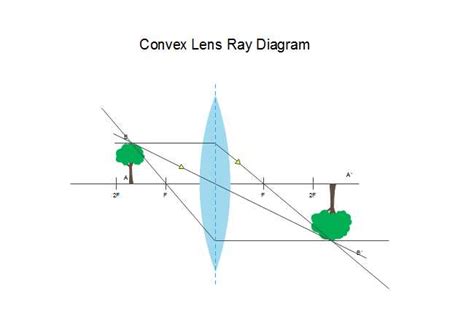 Understanding The Ray Diagrams Of Concave And Convex Lenses