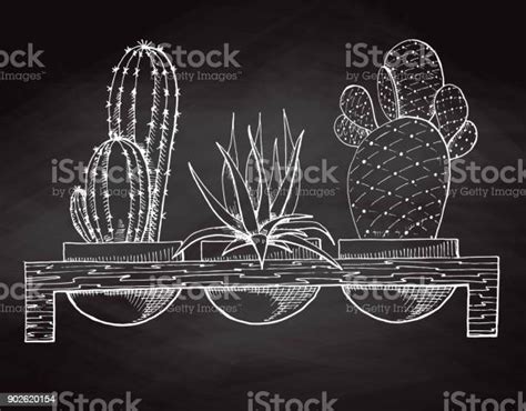 나무 스탠드 칠판에 고립에 냄비에 3 개의 Succulents 스케치 벡터 일러스트입니다 Draft Sports에 대한 스톡