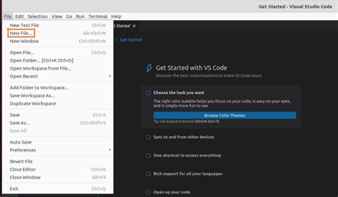 Using Node Js With Visual Studio Code Step By Step Golinuxcloud