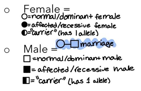 Semester 2 Final Flashcards Quizlet