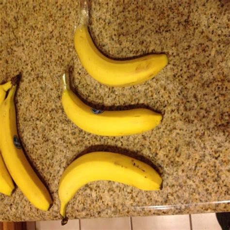 Fruit Dataset Object Detection Dataset By Guduvada Chinmai