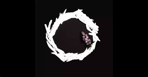 ‎circle Thinking I Hate Sex의 앨범 Apple Music