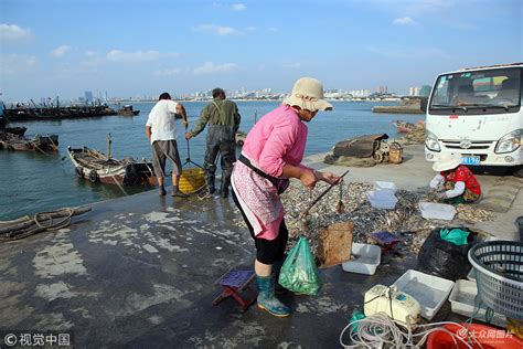 日照：开海第二日 开渔“第一网”渔民喜丰收 海报新闻