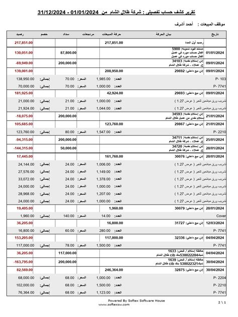 تقرير كشف حساب تفصيلى شركة ظلال الشام من 01 01 2024 31 12 2024 Pdf