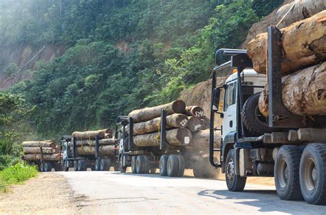 Toutes Les Tailles Logging Trucks Grumiers In Gabon Flickr