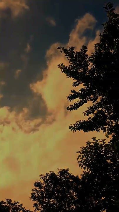Village Nature🥰🥰🥰 ️ Minivlog Trending Bgmilive Villagelife Village