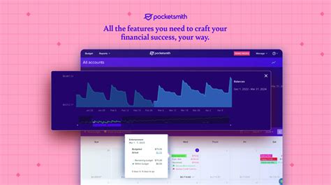 Pocketsmith Review
