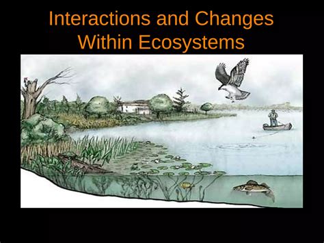 Interactions Within Ecosystems Ppt