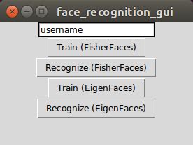 Tanay Choudhary Real Time Face Recognition Eigenfaces And Fisherfaces