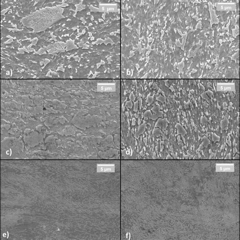 Sample Microstructures In The Longitudinal Direction Observed With Sem