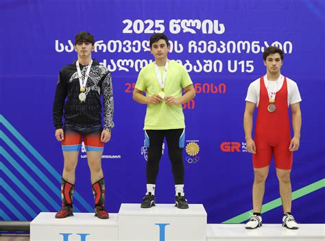 სსიპ ქალაქ ხონის N4 საჯარო სკოლა Khoni