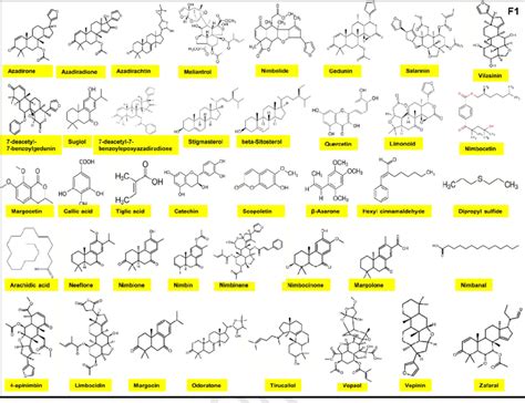 Structure Of Different Phytochemicals Present In Neem Tree Download Scientific Diagram