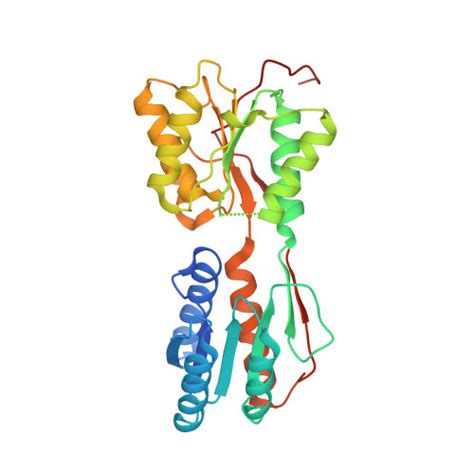 Rcsb Pdb 1jhz Purine Repressor Mutant Corepressor Binding Domain