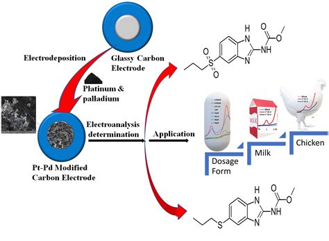 Biosensors Free Full Text An Electrochemical Sensor For The
