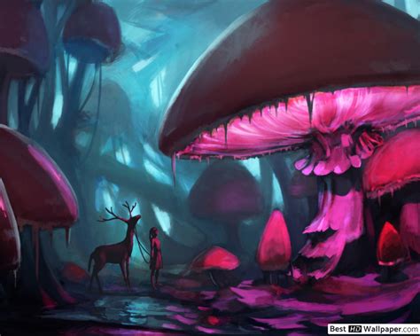 Mushroom Frog Wallpapers Wallpaper Cave