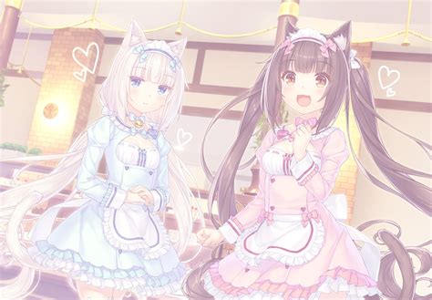 I Love Them♡૮꒰⸝⸝ ̫