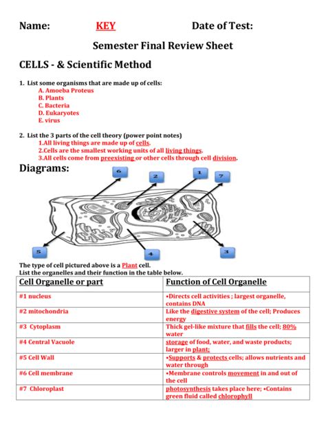 Semester 1 Exam Review KEY 7 Sci 2012