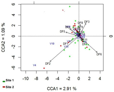 Graficul de dispersie al analizei corespondenței canonice CCA