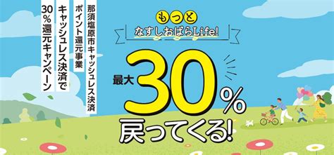 那須塩原市、対象キャッシュレス決済で最大30％還元キャンペーンを実施 ポイ探ニュース