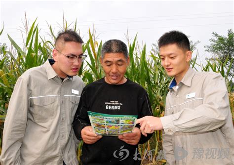国网沁阳市供电公司：供电服务伴行 绘就秋收好“丰”景 大河新闻