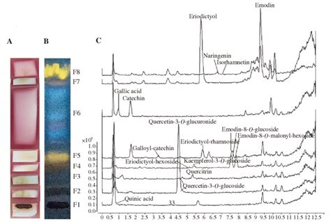 Bioautogram A High Performance Thin Layer Chromatography