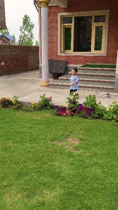 Instagram Video By Mirrayees • Jun 22 2024 At 721 Am