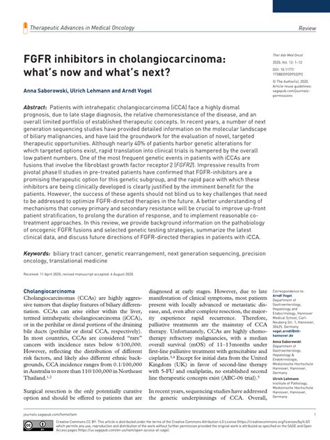 Pdf Fgfr Inhibitors In Cholangiocarcinoma Whats Now And Whats Next