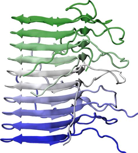 Protein Aggregation Toxicity And Function Two Sides Of The Same Coin