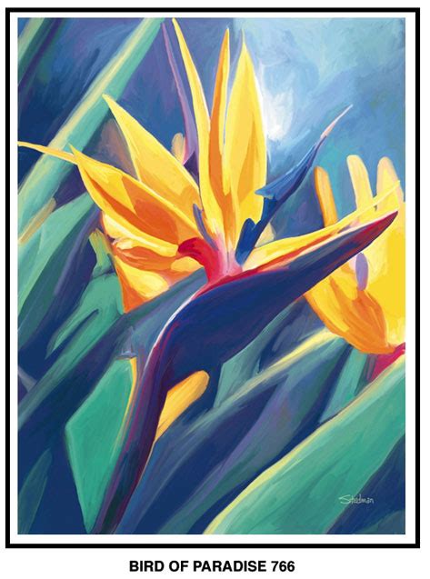 Stedman Art Transitional