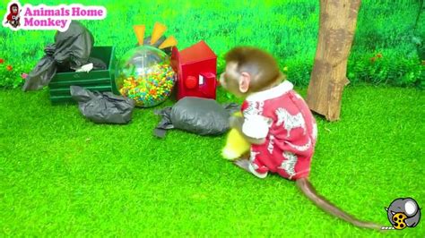بچه میمون و مراقبت از جوجه اردک برنامه کودک بچه میمون میمون بامزه