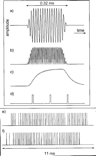 Echo Processing To Produce Pseudo Action Potentials PAPs A Download Scientific