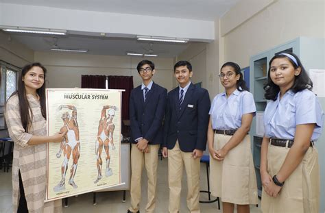 Exploring Food Chains Definition Types And Examples Podar Education
