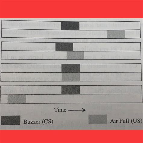 Trace Delay Simultaneous Backward Diagram Quizlet
