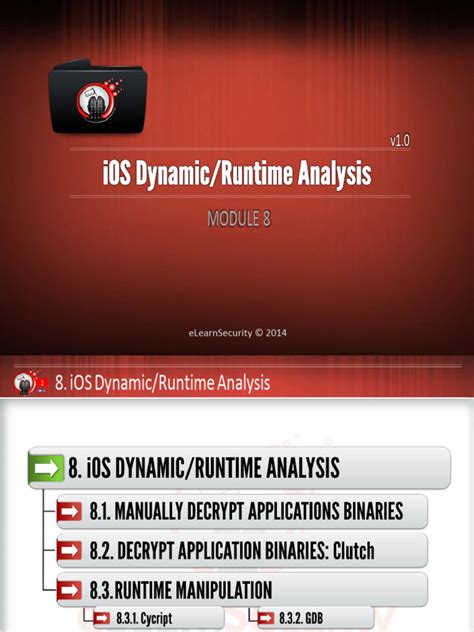 Ios Dynamic Runtime Analysis Pdf Ios Encryption