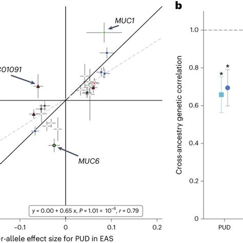 cross ancestry effect size comparison and genetic correlation