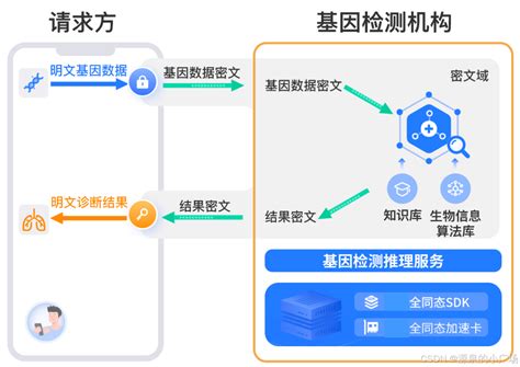【隐私计算篇】全同态加密应用场景案例（隐私云计算中的大模型推理、生物识别等）同态加密训练大模型 Csdn博客