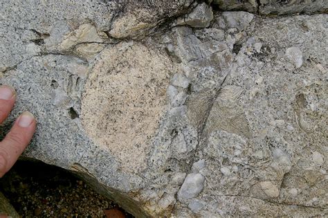 Granite And Metamorphic Clasts In Metaconglomerate Metas… Flickr