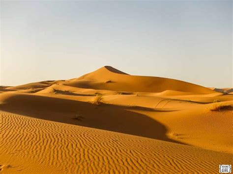 Sahara Desert Photos Video An Overnight Camping Experience Sahara Desert Sahara Camping